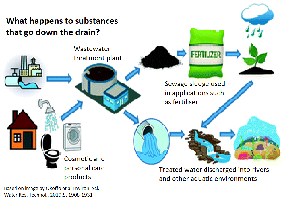 Assessing the Environmental Safety of Cosmetic Ingredients