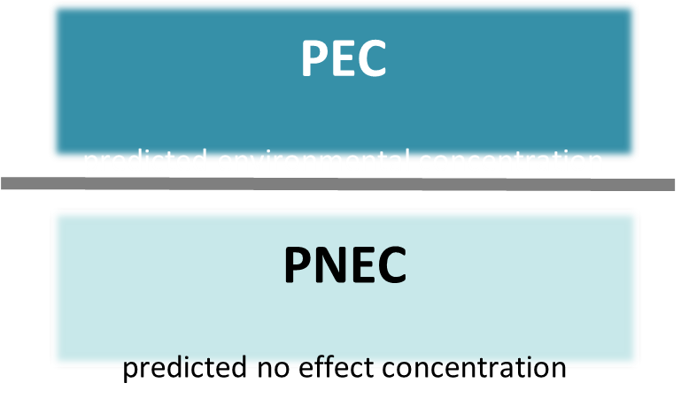 Assessing the Environmental Safety of Cosmetic Ingredients