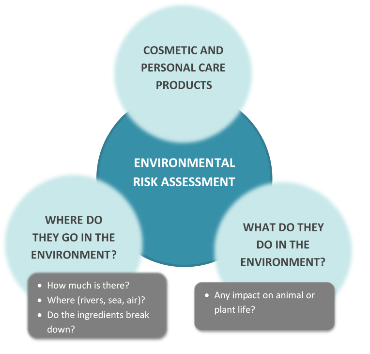 Assessing the Environmental Safety of Cosmetic Ingredients